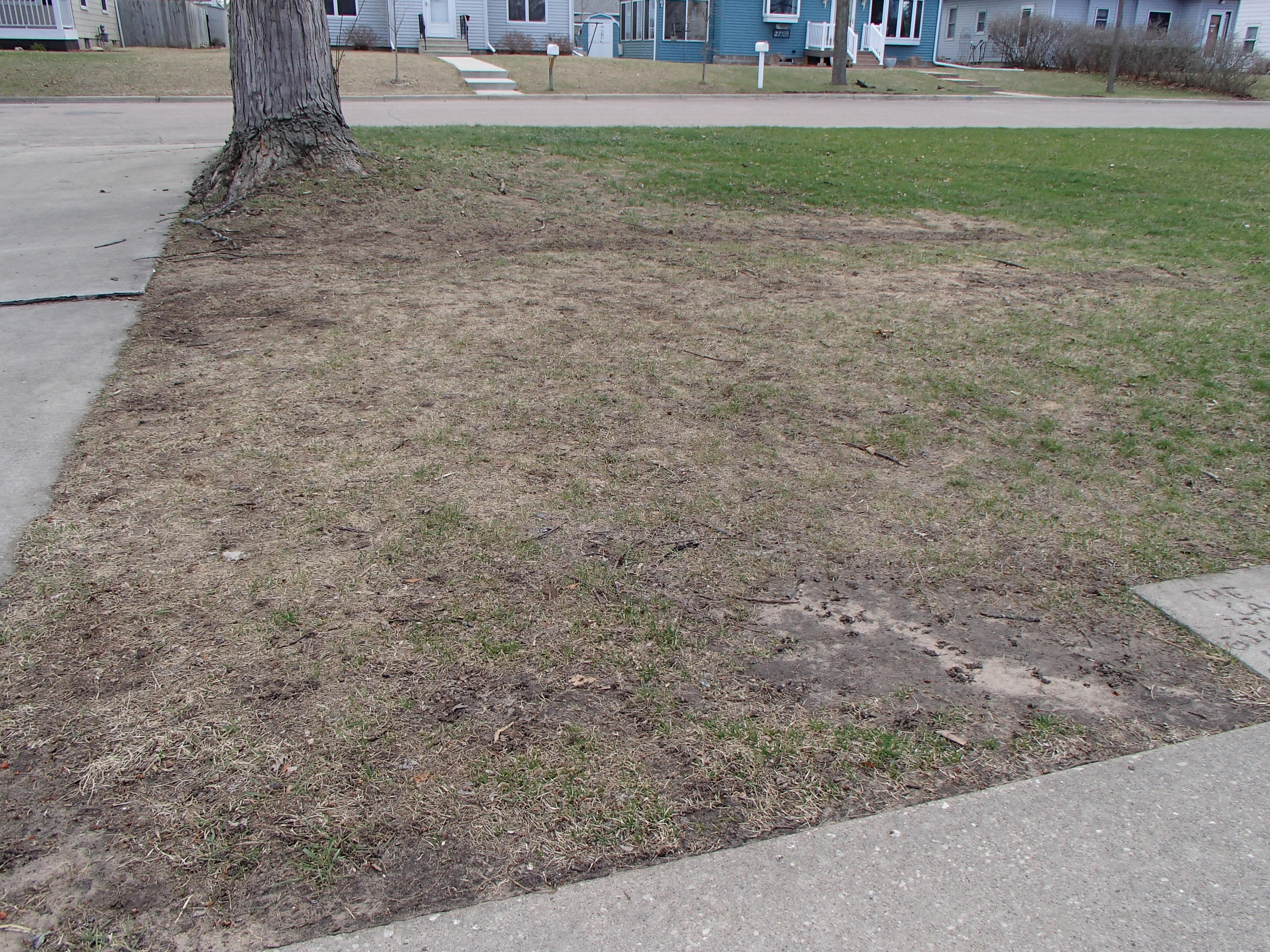First weekend of yard work – Amateur Nesting