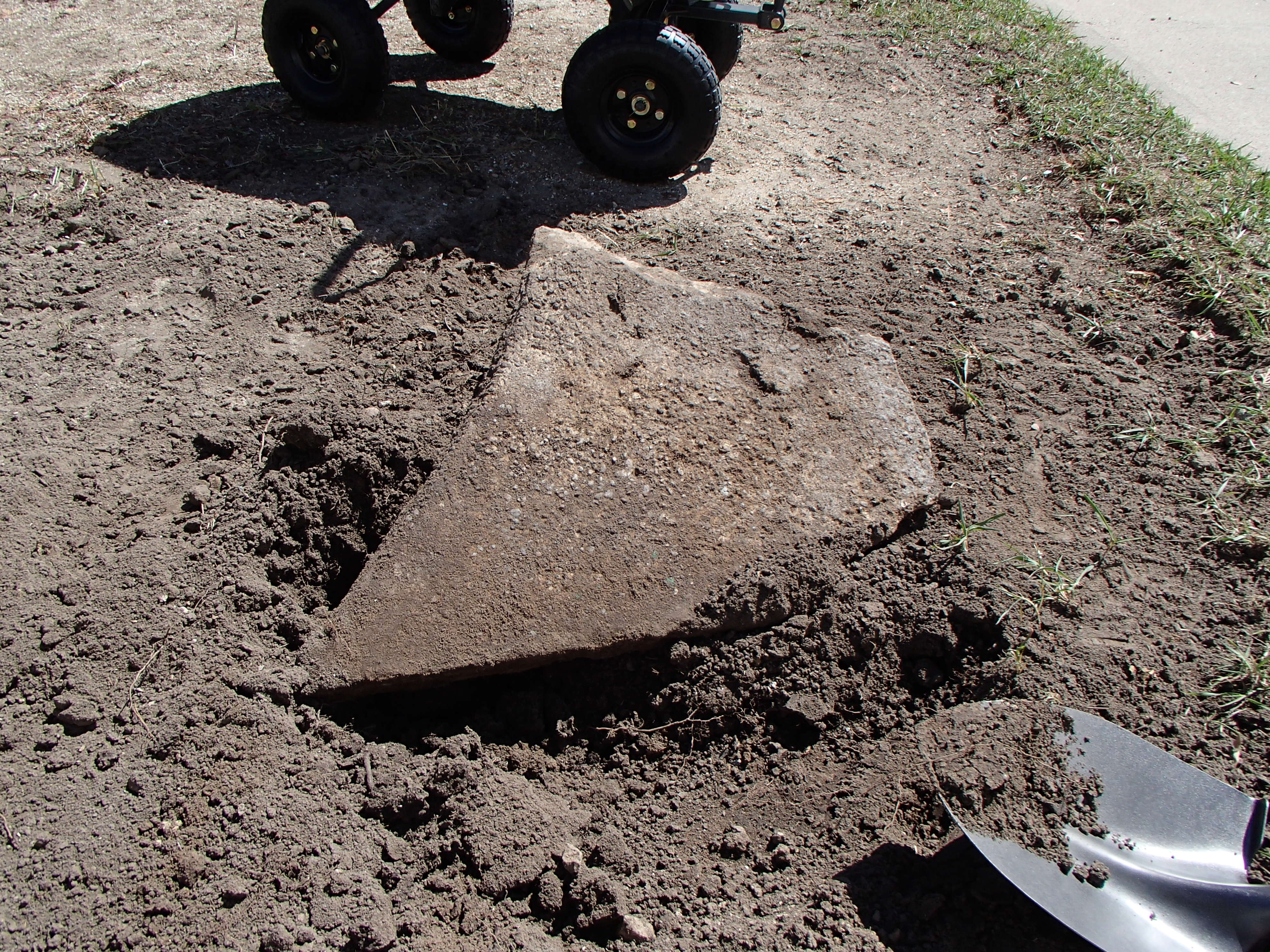 First weekend of yard work – Amateur Nesting