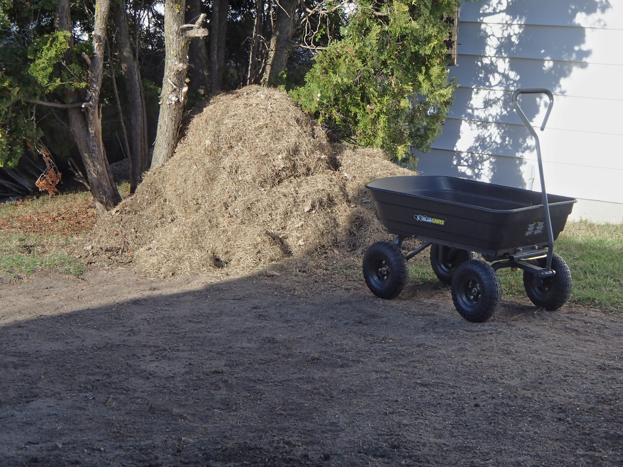 First weekend of yard work – Amateur Nesting